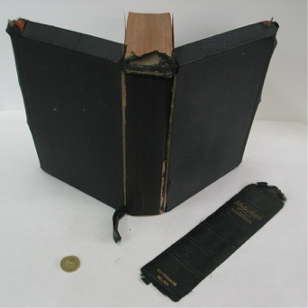 Book Repair Courses: Master the Skills to Save Your Books